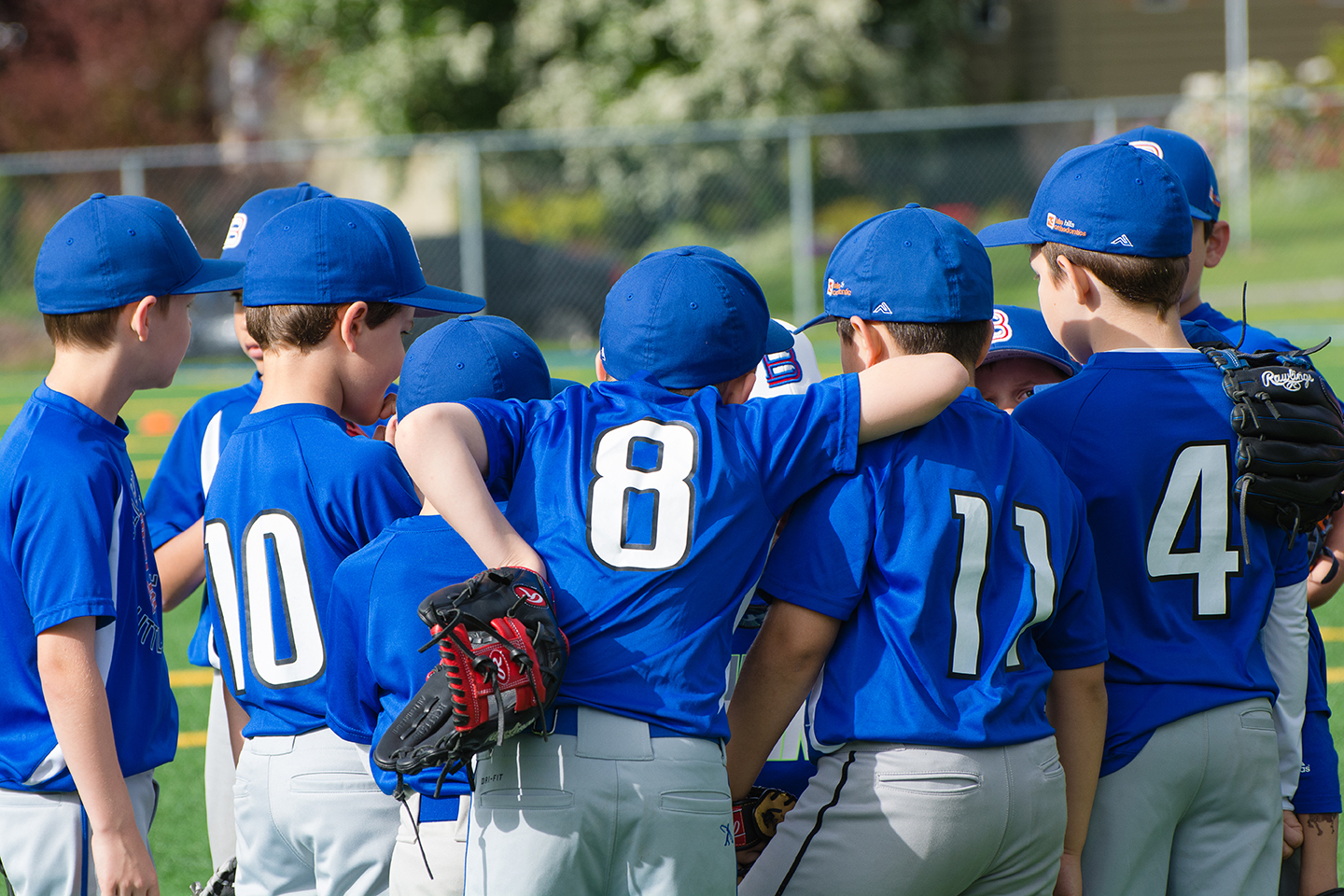 Program Info – Bellevue National Little League